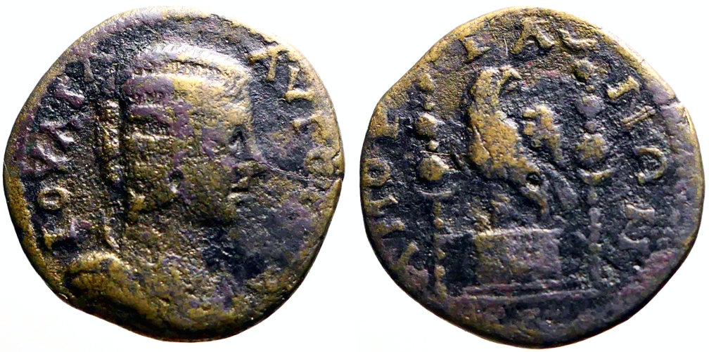 Julia Domna AE24 Phrygia, Amorium. Eagle between signa | Roman Imperial ...