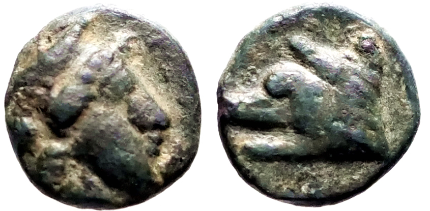 Argolis AE9 Hemichalkous. Hera / Head of Wolf | Greek Coins
