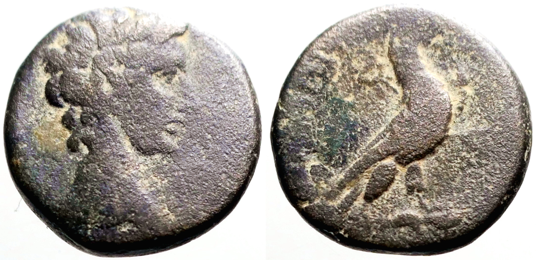 Augustus AE17 Phrygia, Amorium. Eagle & Caduceus | Roman Imperial Coins