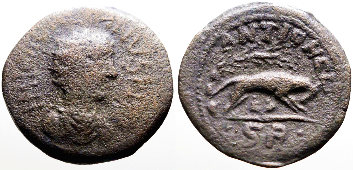 Gallienus AE30 Antioch, Pisidia. She wolf under fig tree w. Romulus & Remus