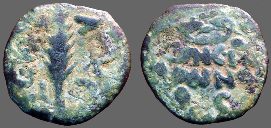 Porcius Festus AE prutah. Palm Branch / Legend in wreath | Greek Coins