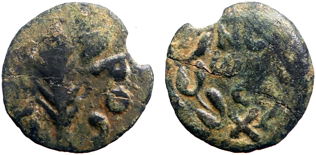 Porcius Festus AE16 prutah. Palm Branch / Legend in wreath | Greek Coins