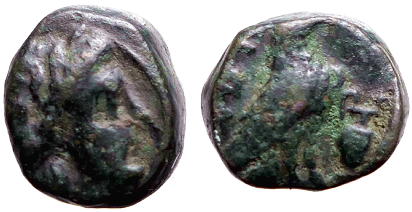 Troas, Abydos AE10 Laureate Bust of Apollo / Eagle. amphora | Greek Coins