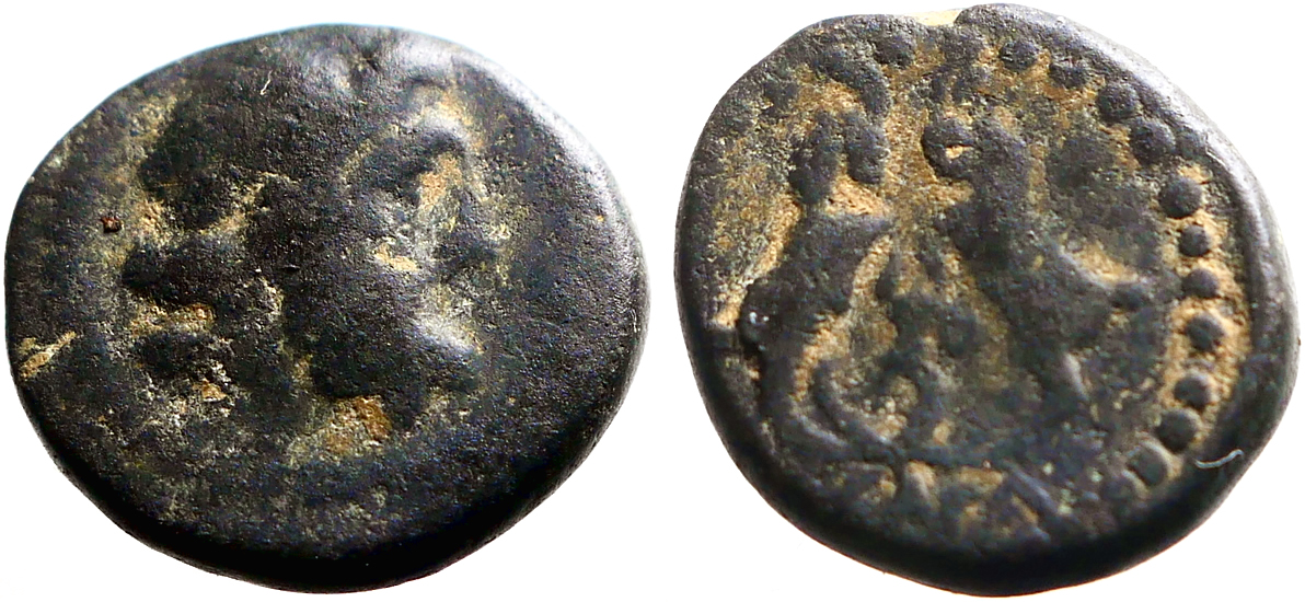 Pisidia, Sagalassos AE14 Zeus / Goats confronting | Greek Coins