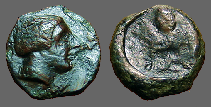 Sicily, Syracuse AE12 Onkia. Female bust / Octopus. | Greek Coins