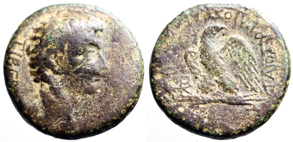 Tiberius AE19 Phrygia, Apameia. Eagle on thunderbolt | Roman Imperial Coins