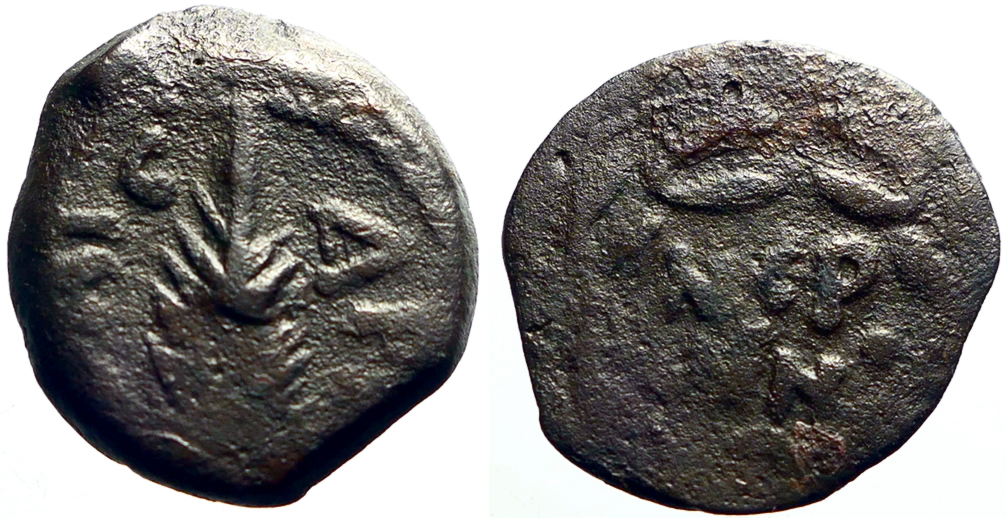 Porcius Festus AE prutah. Palm Branch / Legend in wreath | Greek Coins