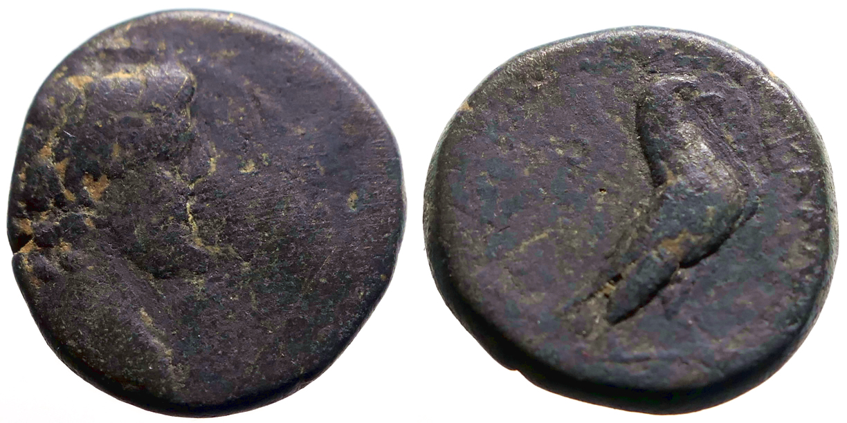 Augustus AE19 Phrygia, Amorium. Eagle standing right | Roman Imperial Coins