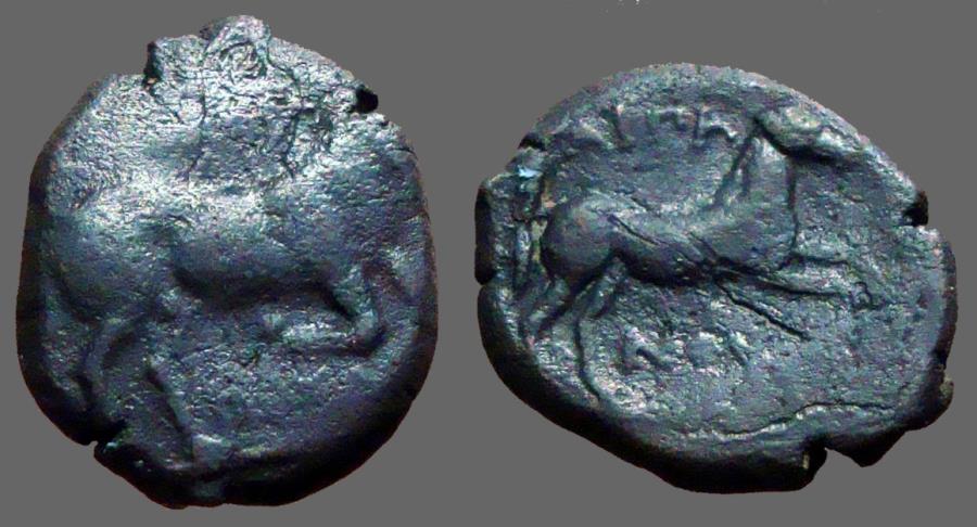Arpi, Apulia AE21 Bull butting / Horse Jumping | Greek Coins