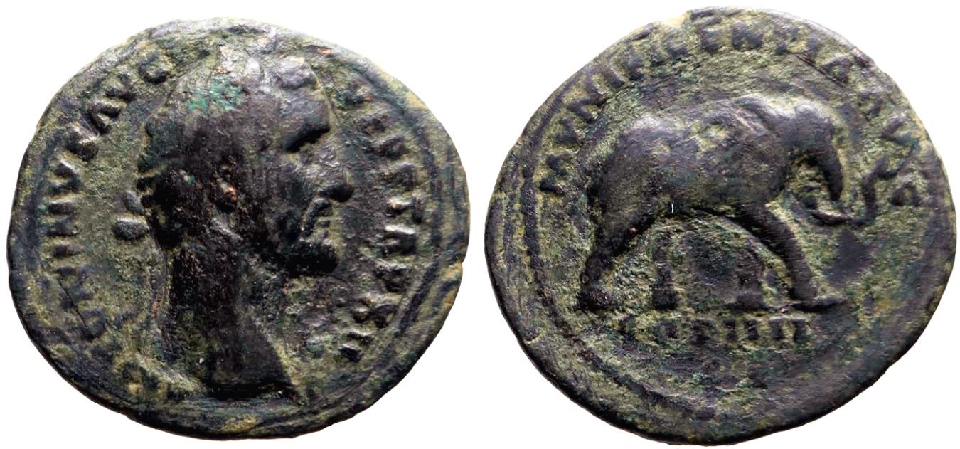 Antoninus Pius AE26 as. Elephant walking right | Roman Imperial Coins
