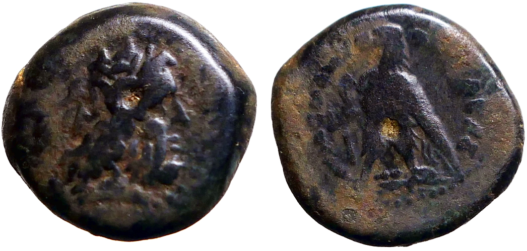 Ptolemy III AE13 Alexandria | Greek Coins