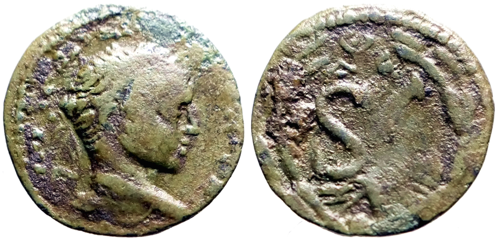 Elagabalus AE19 Antioch on Orontes. SC in wreath | Roman Provincial Coins