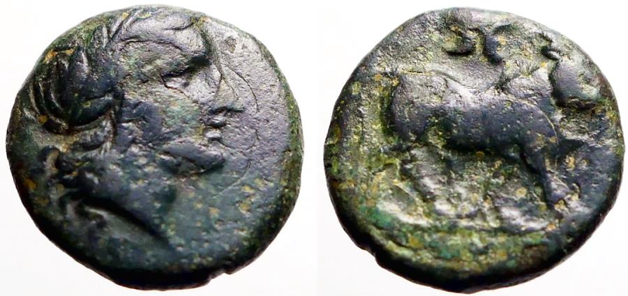 Campania, Neapolis AE16 Apollo / Man headed Bull | Greek Coins