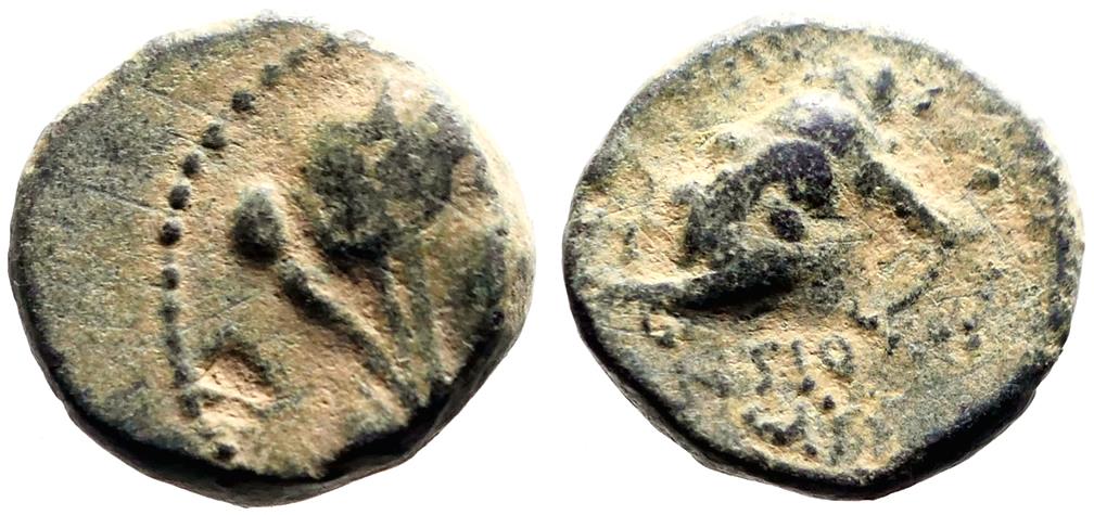 Seleukid Kingdom. Antiochos IV AE13 Elephant | Greek Coins