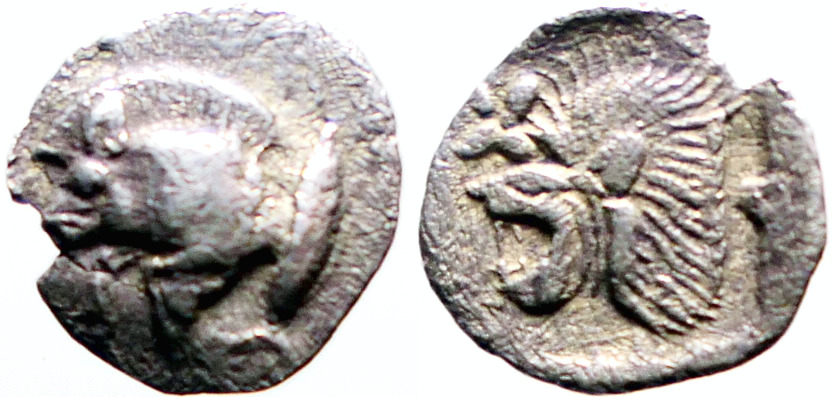Mysia. Kyzikos AR9.5 Hemiobol. Boar / Lion | Greek Coins