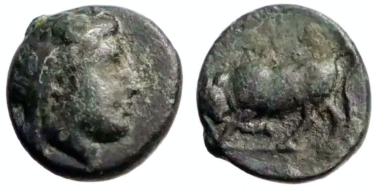 Mysia, Gambrion AE9 Apollo / Bull butting left | Greek Coins