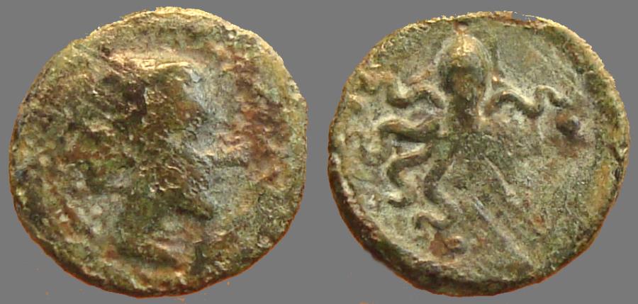 Sicily, Syracuse AE16 Triens Arethusa / Octopus w | Greek Coins