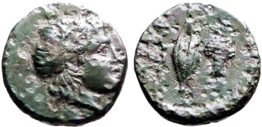 Troas, Neandria AE10.5 Apollo / Corn & grapes | Greek Coins