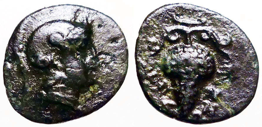 Lokris Opuntion AE13 Athena / Grapes w. tendril | Greek Coins