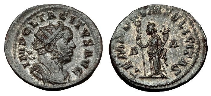 Tacitus Ae Antoninianus | Roman Imperial Coins