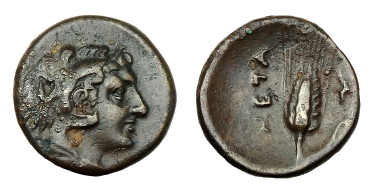 Lucania, Metapontion Ae 15 | Greek Coins