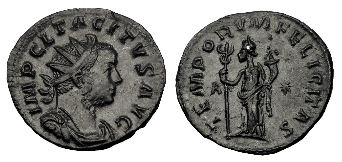 Tacitus Ae Antoninianus | Roman Imperial Coins