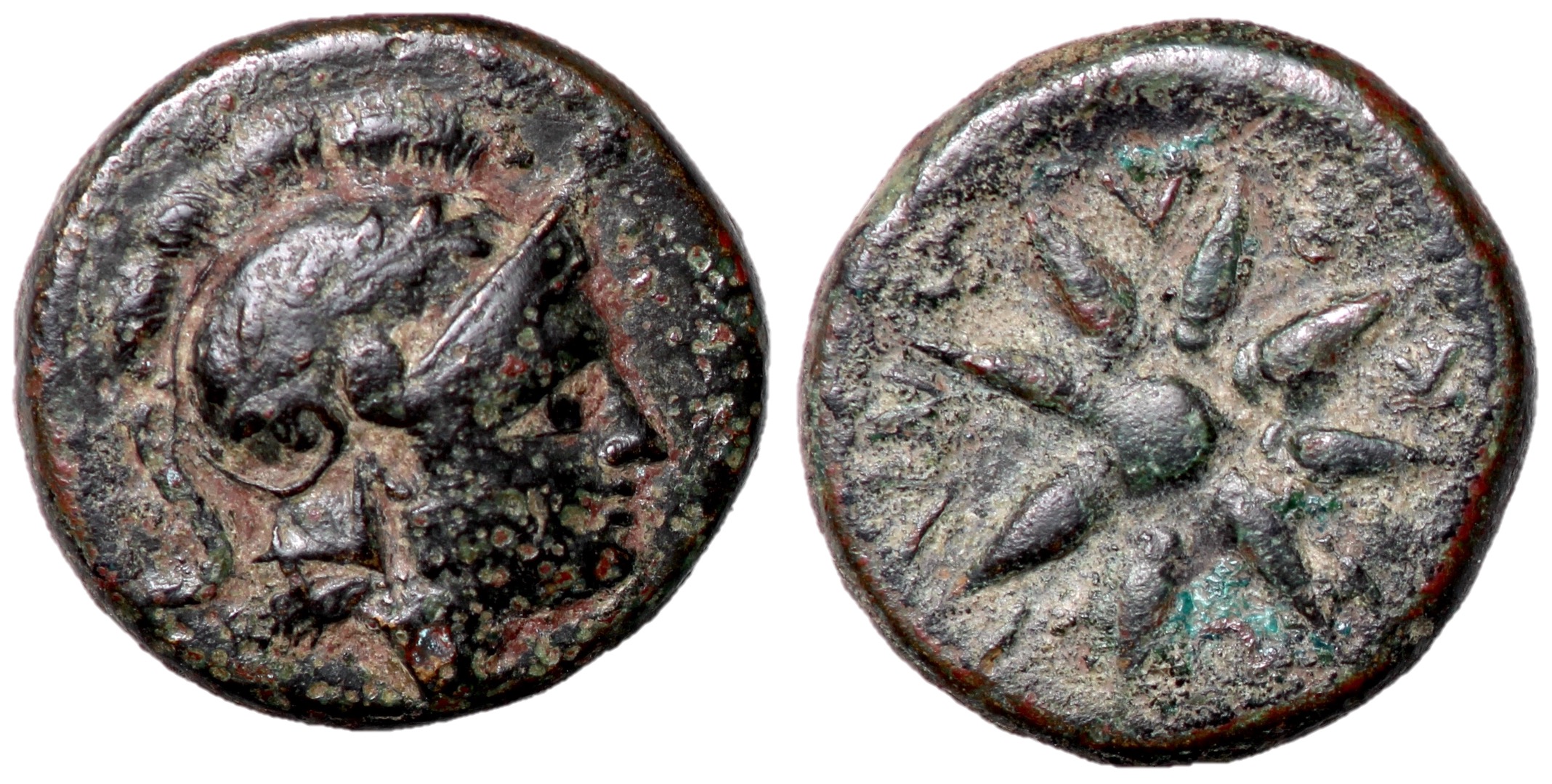 Troas, Kolone, 4th Century BC | Greek Coins