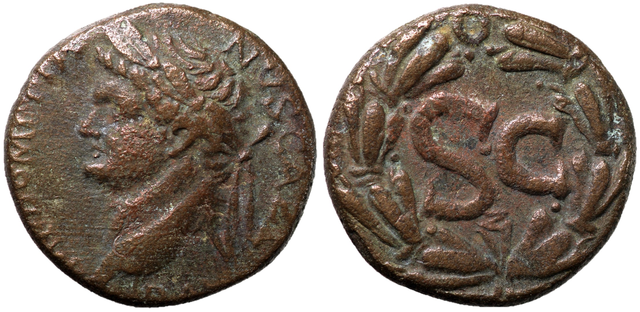 Domitian, 81 - 96 AD, AE As of Antioch | Roman Imperial Coins