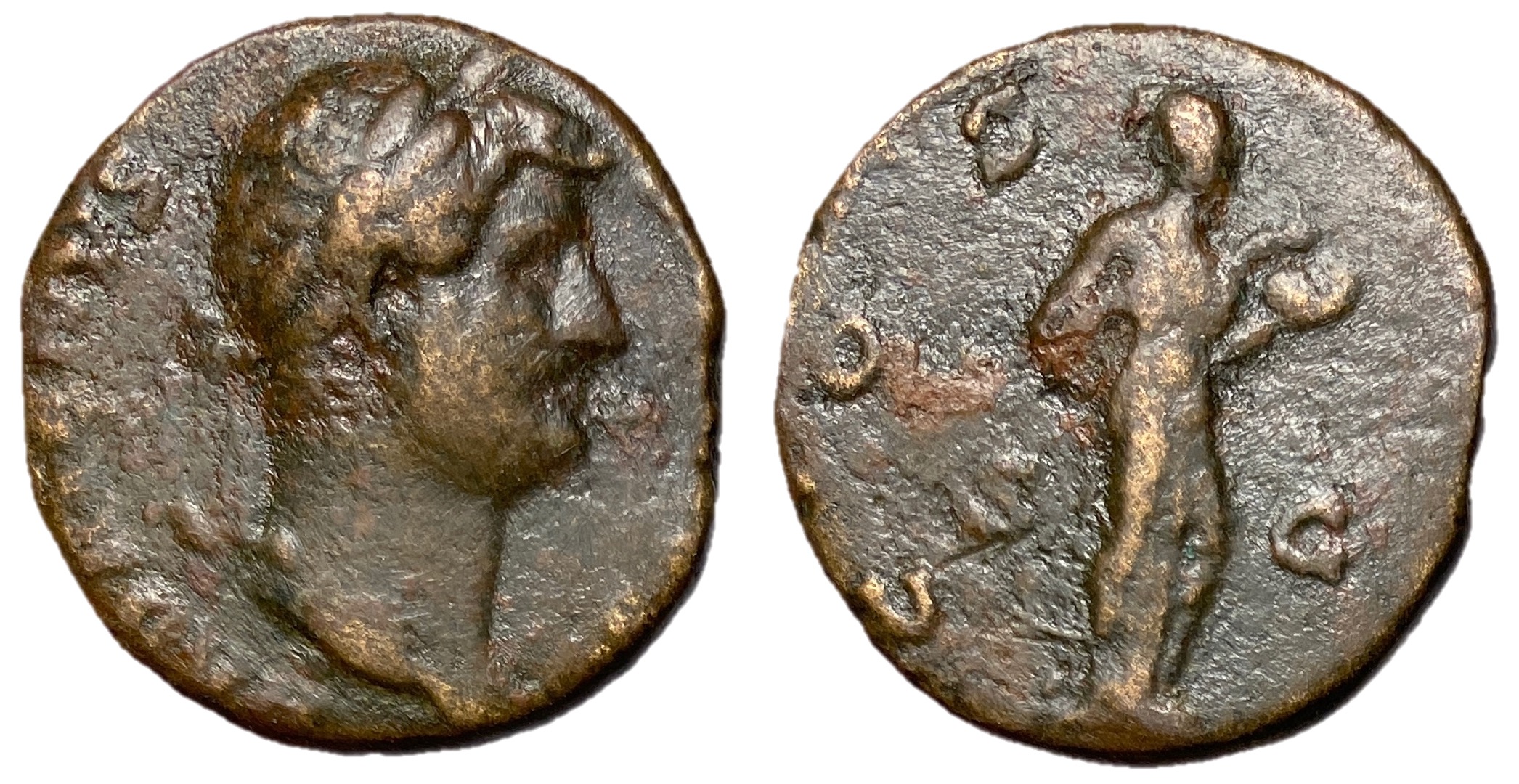 Hadrian, 117 - 138 AD, AE As, Salus | Roman Imperial Coins