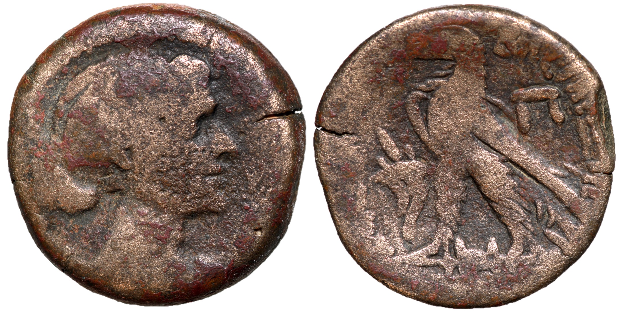 Ptolemaic Kings, Cleopatra VII, Theo Neotera, 51 - 30 BC, AE Diobol or ...