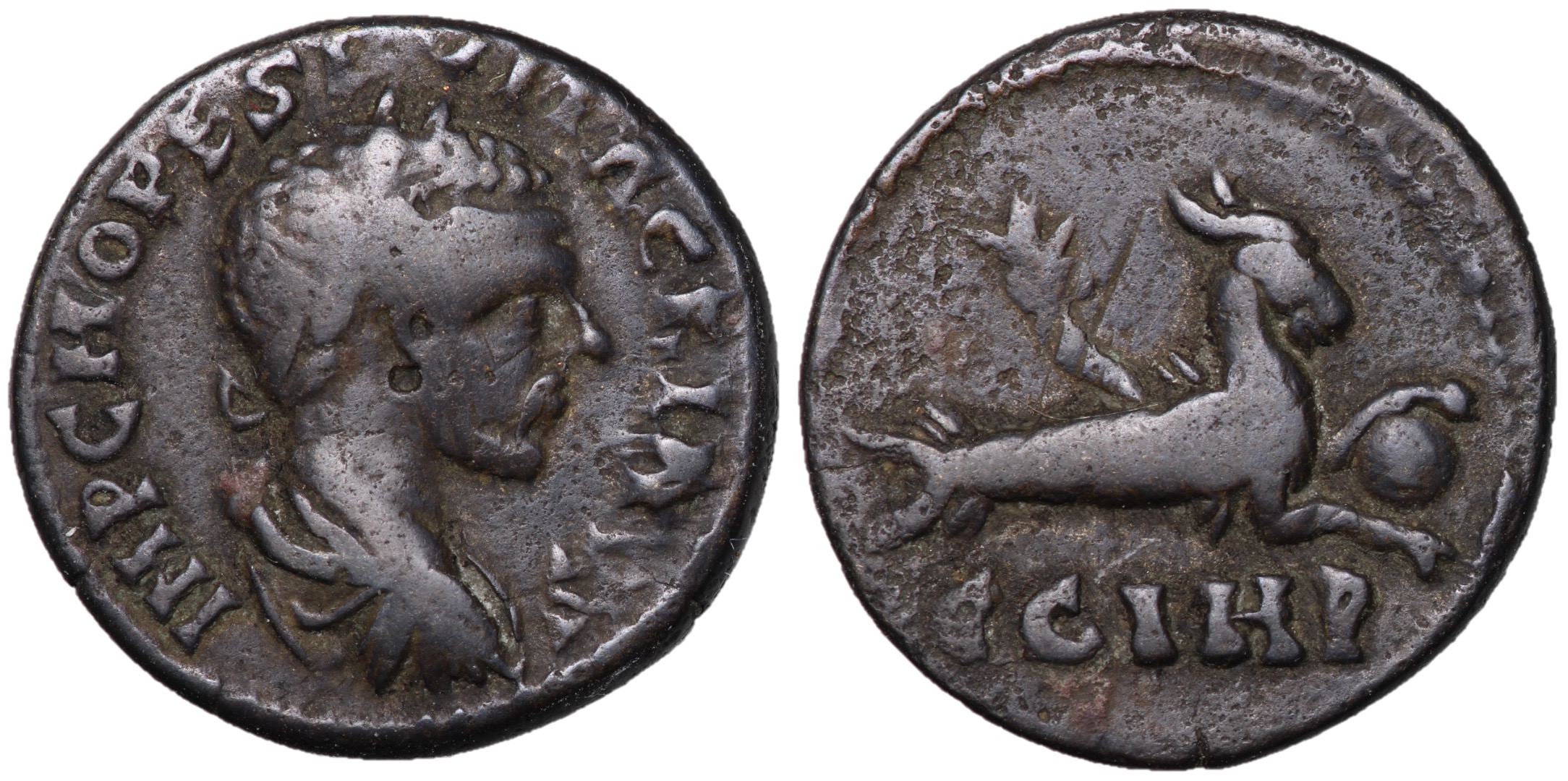 Macrinus, 217 - 218 AD, AE22 of Parium with Capricorn | Roman Imperial ...