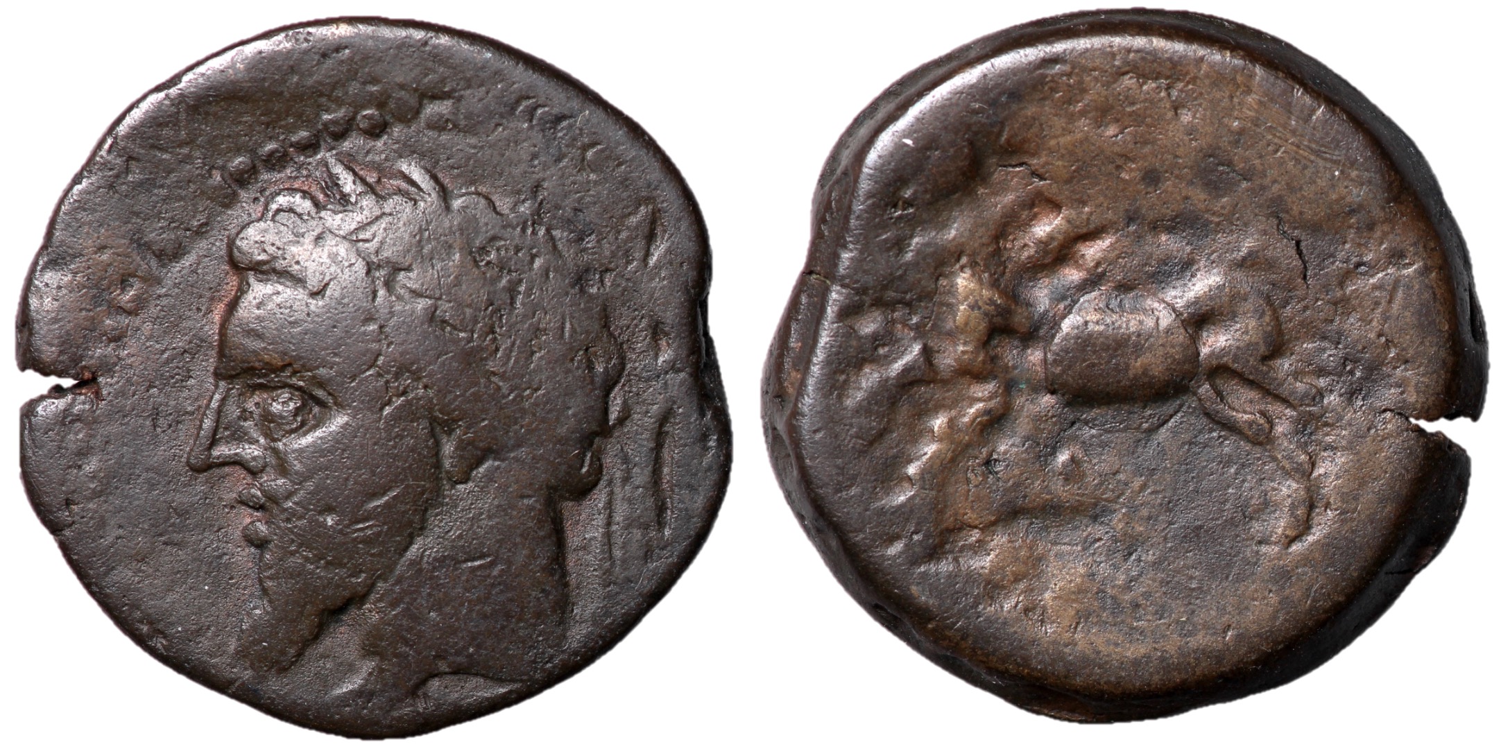 Numidia, Micipsa, 148 - 118 BC | Greek Coins