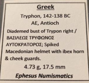 Ancient Greece. Tryphon, 142-138 BC. Antioch | Greek Coins