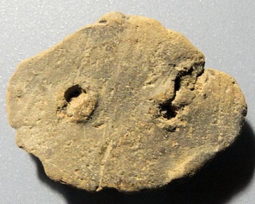 primitive money - Chou Dynasty, 770-476 BC Clay Ant Nose cowrie