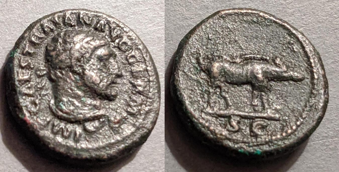 Trajan, 98-117 AD, AE quadrans, boar on reverse | Roman Imperial Coins
