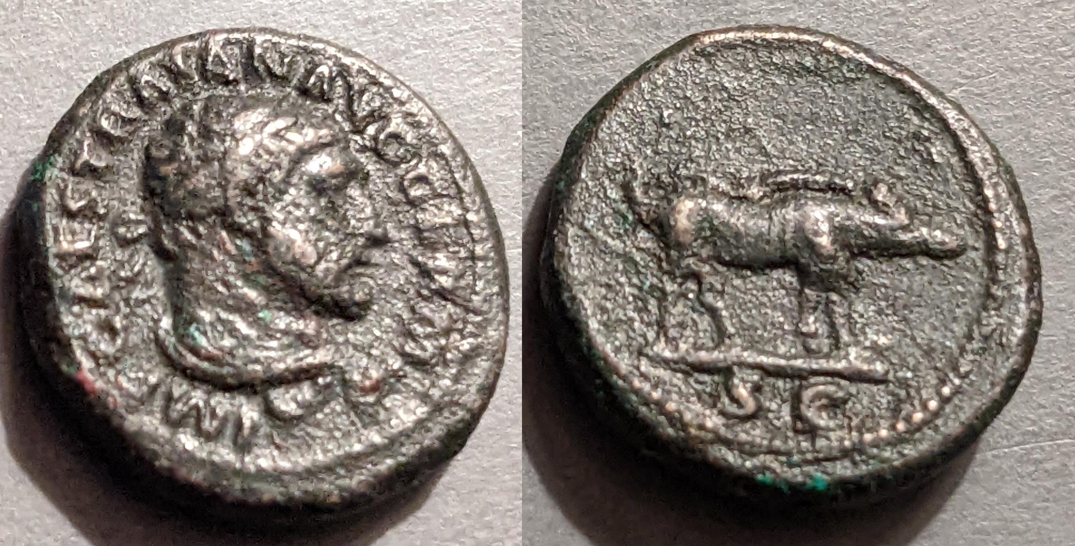 Trajan, 98-117 AD, AE quadrans, boar on reverse | Roman Imperial Coins