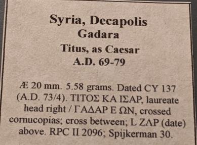Titus, 69-79 AD, Syria, Decapolis Gadara | Roman Provincial Coins