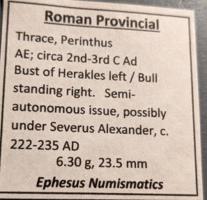 Roman Provincial, Thrace, Perinthus. Herakles / bull - rare | Roman ...