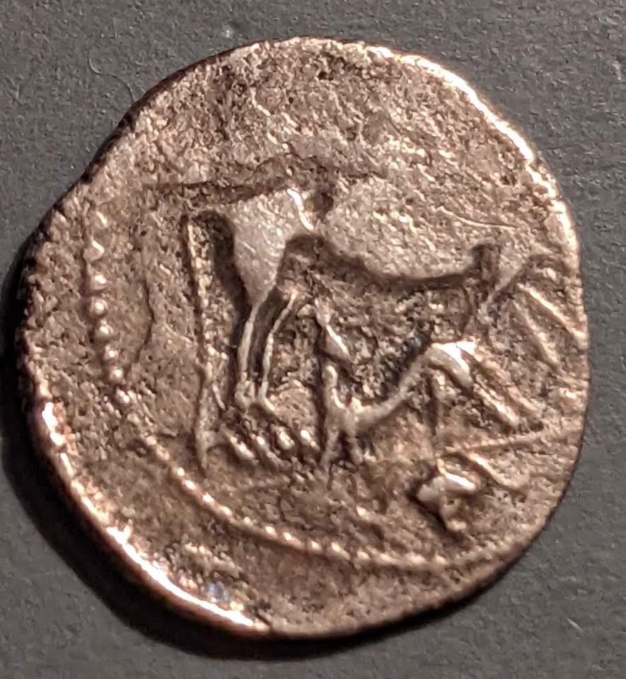 Illyria, Dyrrhachium, 250-50 BC, cow / stellate pattern | Greek Coins