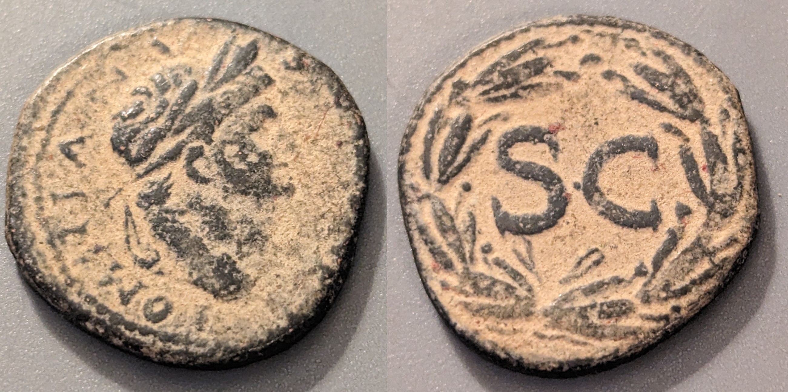 Domitian, 69-79 AD. AE Antioch SC within wreath | Roman Provincial Coins