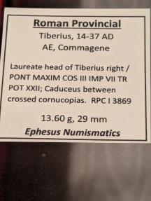 Provincial. Tiberius, 14-37 AD. AE29. Cornucopia | Roman Provincial Coins