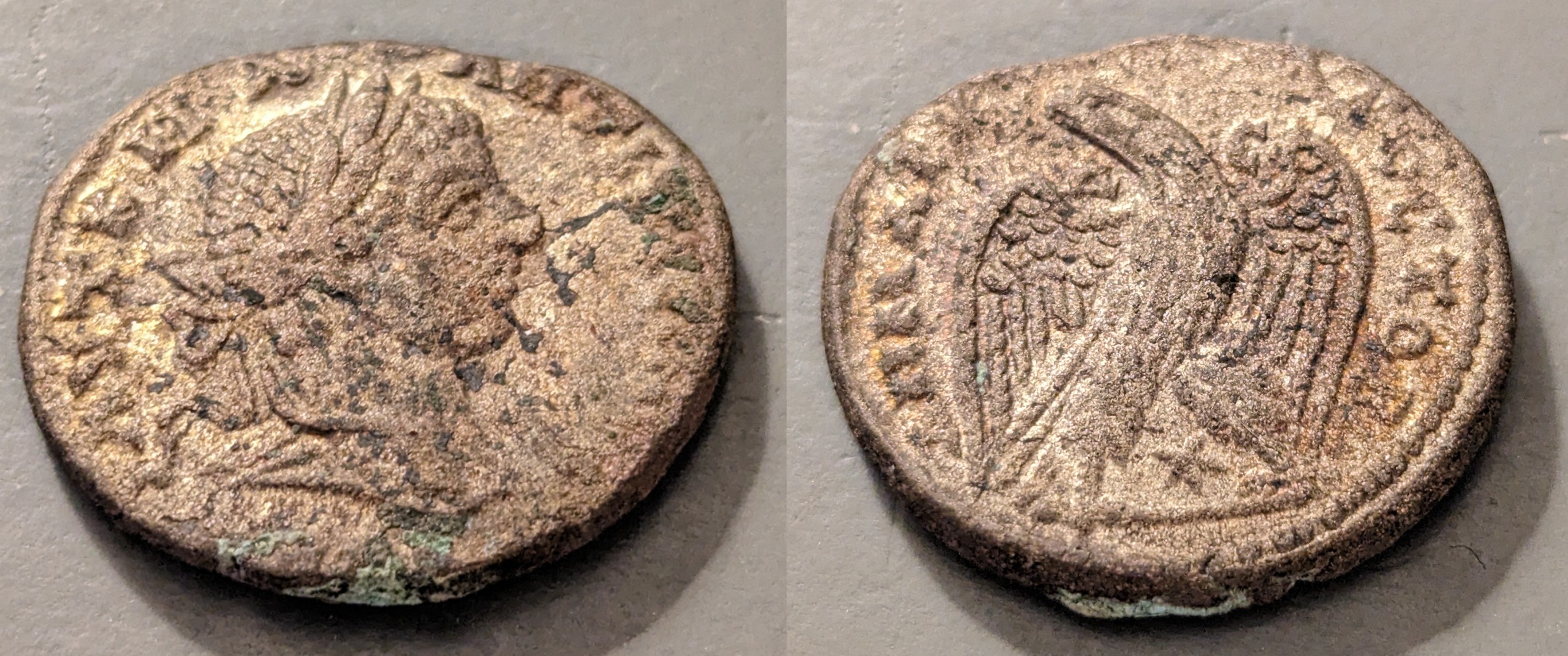 Syria, Antioch. Elagabalus, 218-222 AD. Eagle | Roman Provincial Coins
