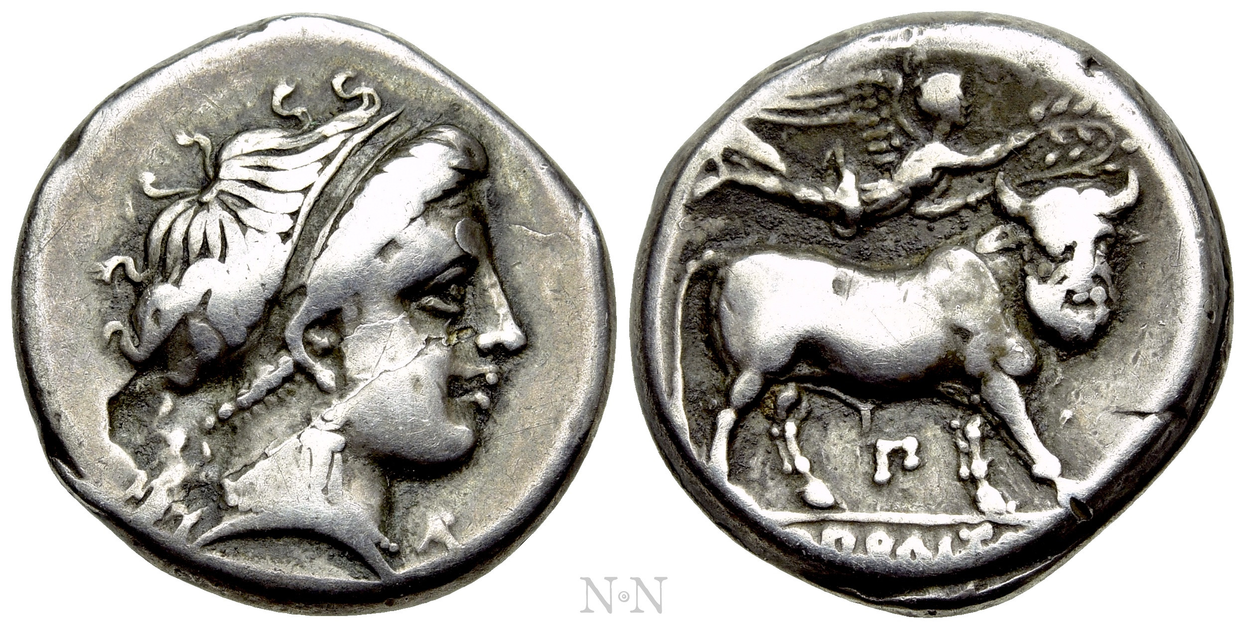 CAMPANIA. Neapolis. Nomos - Didrachm (Circa 300-275 BC). | Greek Coins