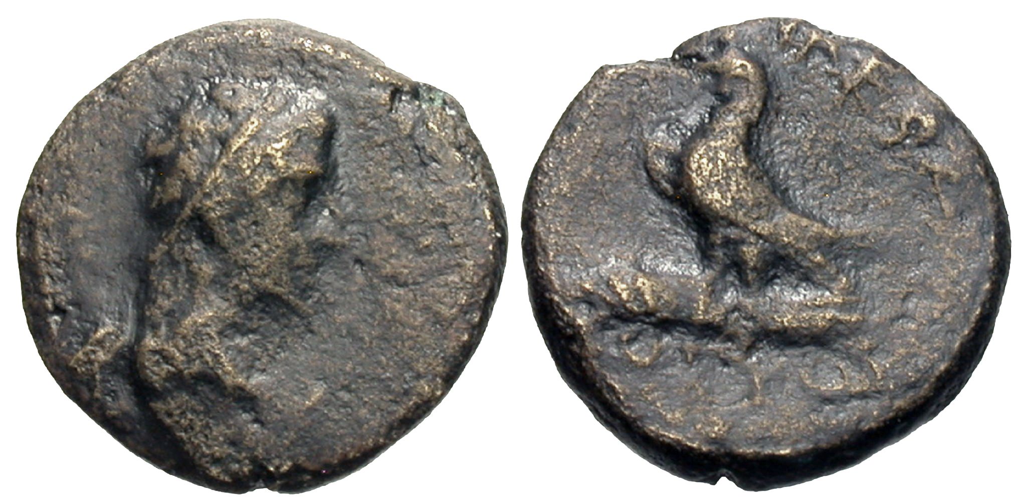 Kings of Odrysian Thrace. Kotys IV. Choice for Type. RARE. | Greek Coins