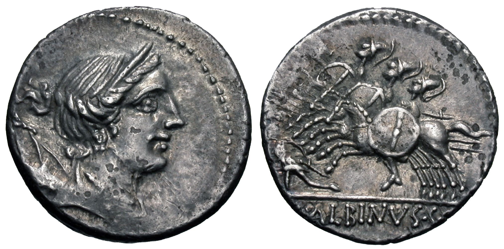Roman Republic. AR Denarius. A. Postumius A.f. Sp. N. Albinus.