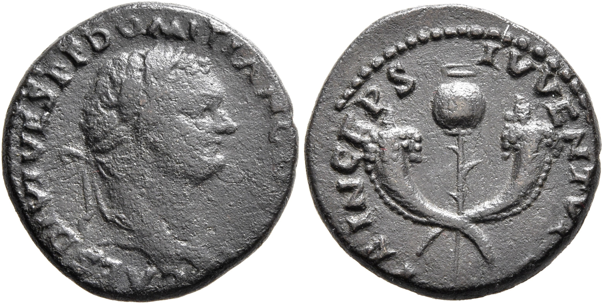 Domitian, as Caesar. Æ Semis. RARE. | Roman Imperial Coins