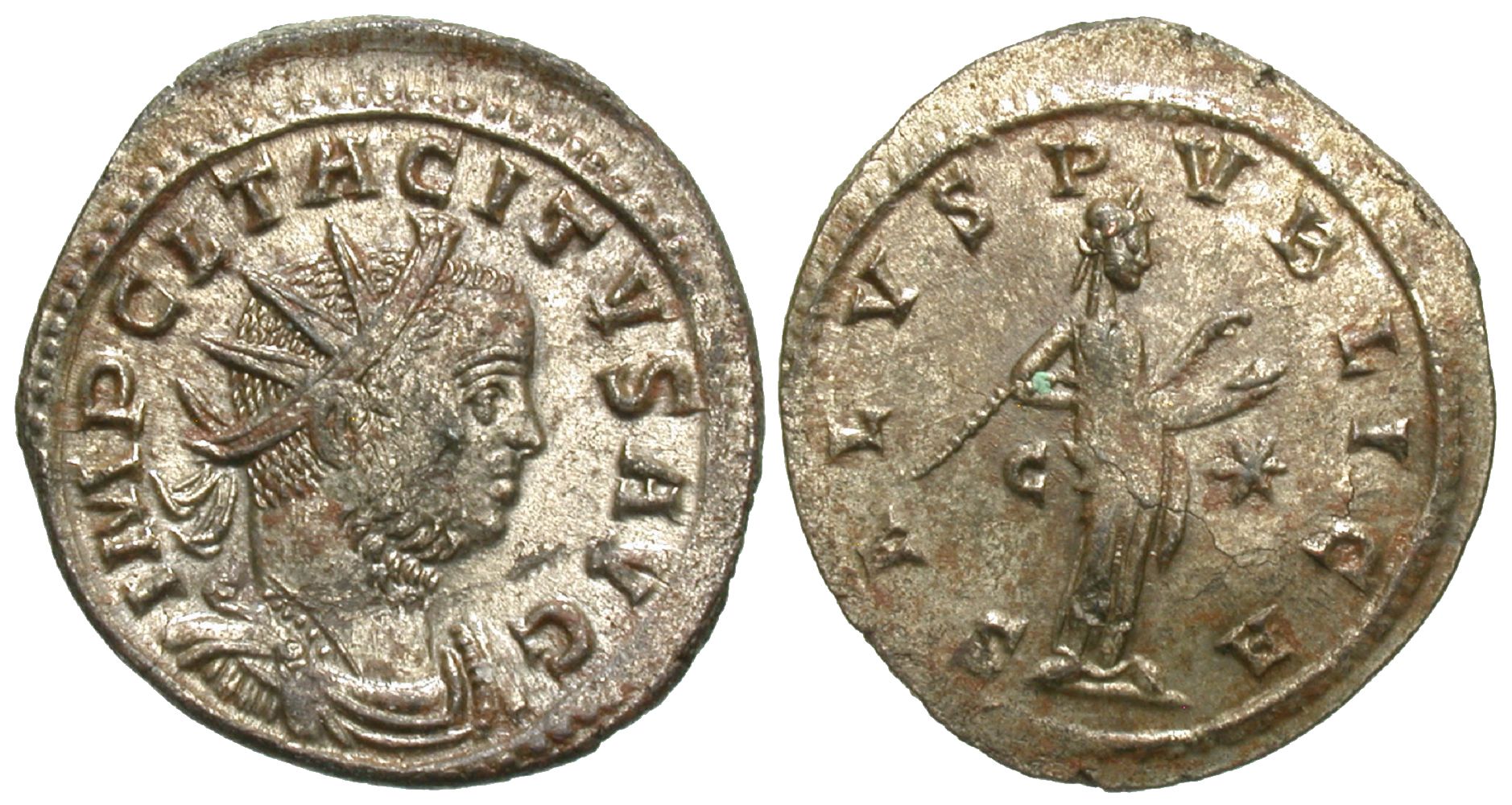 Tacitus. Antoninianus. Lugdunum Mint. Salus. | Roman Imperial Coins