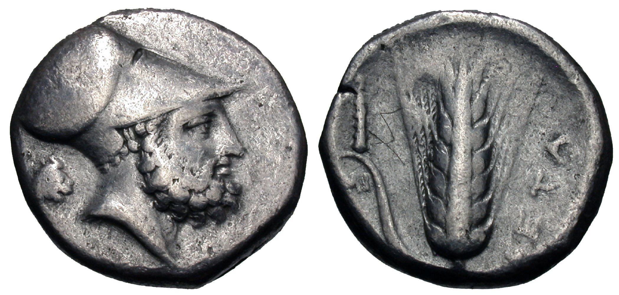 Lucania, Metapontum. AR Nomos. Leukippos / Ear of Barley. | Greek Coins