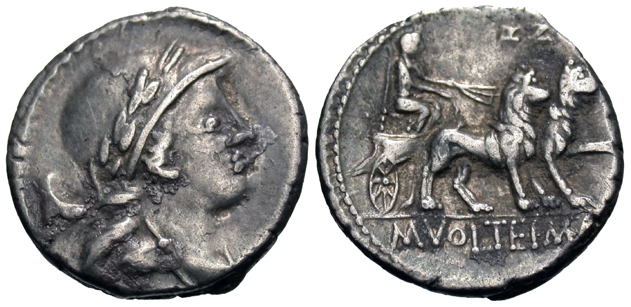 Roman Republic. M. Volteius M.f. AR Denarius. Biga of Lions. | Roman ...