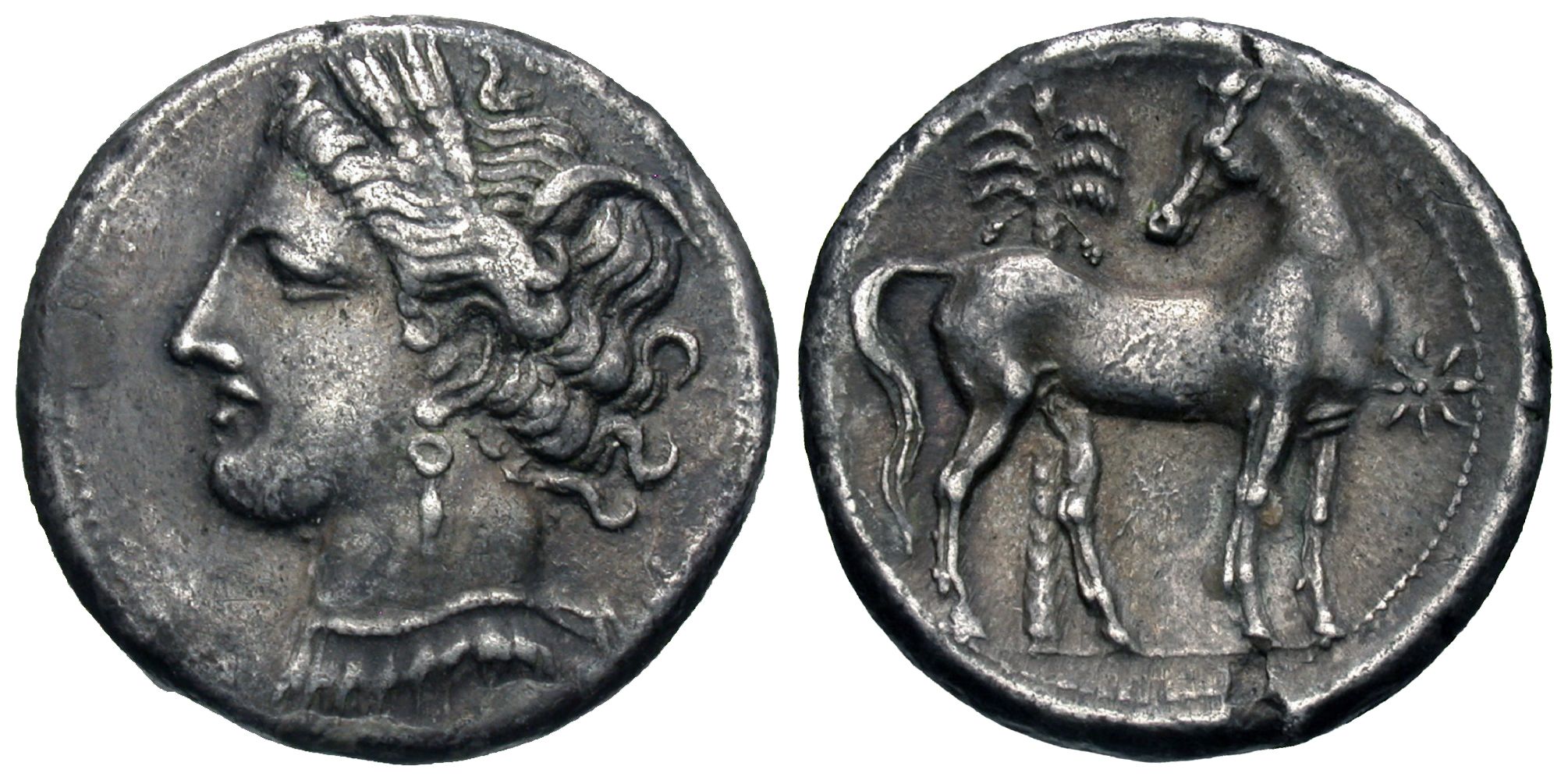 North Africa, Carthage. AR Shekel (Didrachm). Tanit / Horse. | Ancient ...